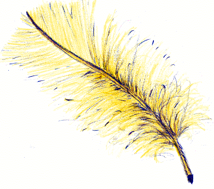 Van Helheim tot Walhalla