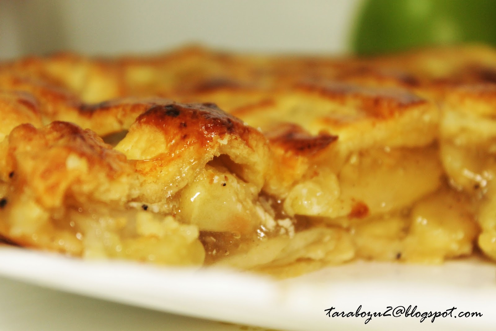 apple pai versi malaysia | AIR TANGAN ZUHAIDA