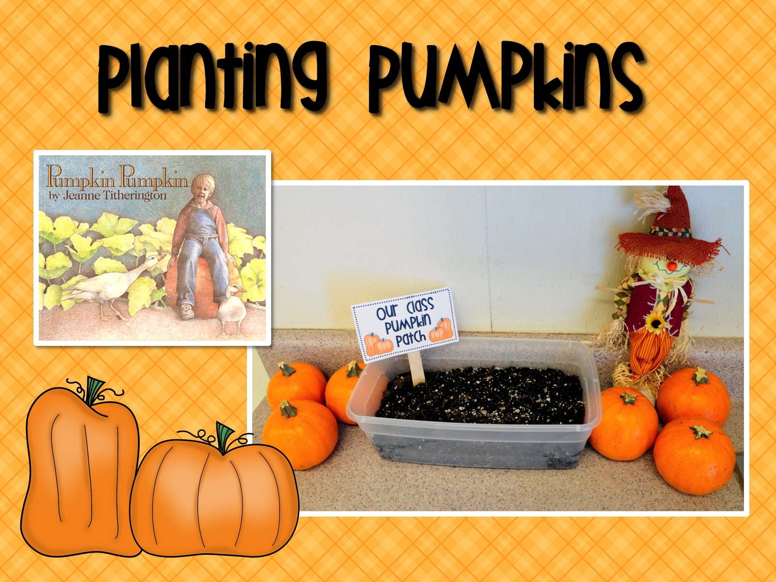 Mrs. Ricca's Kindergarten: Pumpkins Unit FREEBIE & Halloween Centers