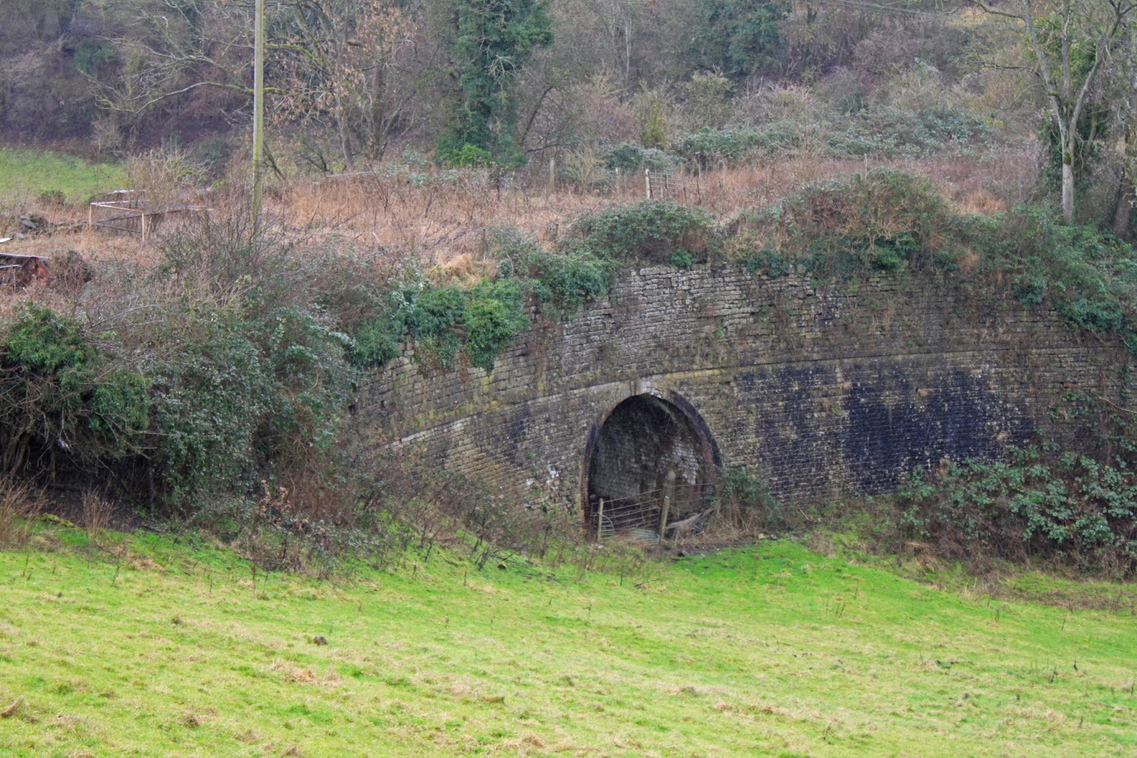 Captain Ahab's Watery Tales: Dunkerton - Somerset Coal Camal