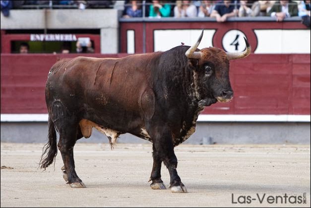 Toreo Fascinante: TARDE TERRORIFICA EN LAS VENTAS CON TRES TOREROS DE ...