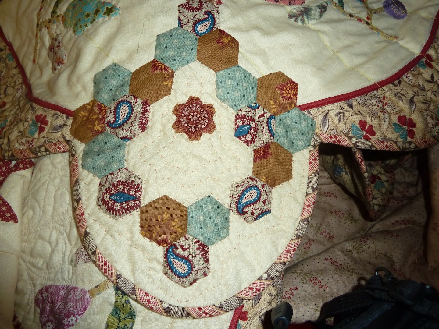 Appliqué and Pieced Quilts. : Cousin Wattle.