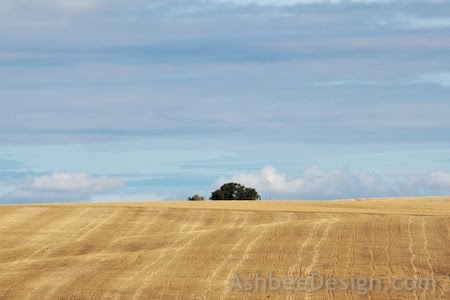 Ashbee Design: Above the fruited Plain....