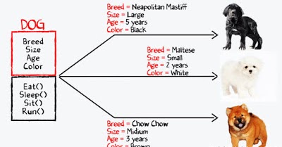 Mastering Test Automation by - Vinod Rane: Class and Objects