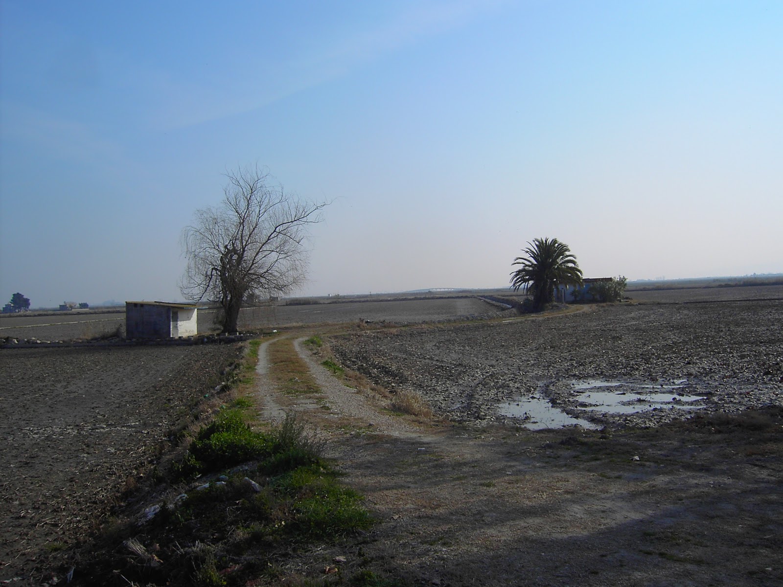 Pasión por la naturaleza: Almussafes-Algemesí-Almussafes en BTT.