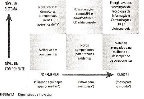 Robinson L. Sezanowitch: Da inovação incremental à inovação radical.