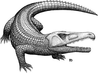 Los animales en la prehistoria: Animales prehistóricos con la letra A