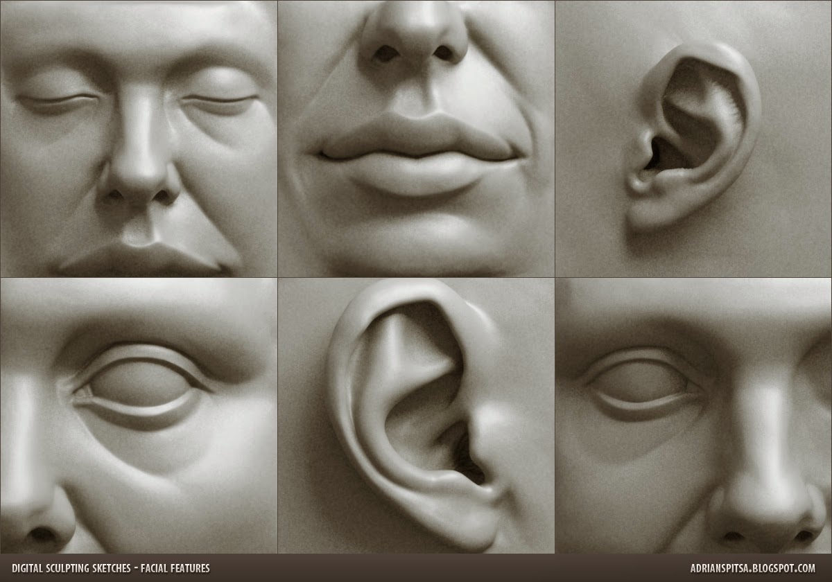 Digital sculpting studies of female facial features by Adrian Spitsa ...