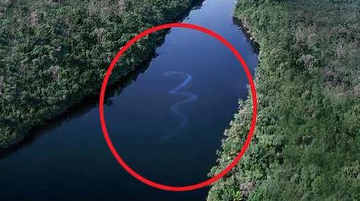 SERIA A MAIOR COBRA DO BRASIL?