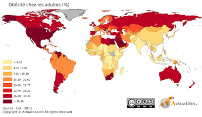 Tour du monde en flânant: L'obésité un phénomène mondial