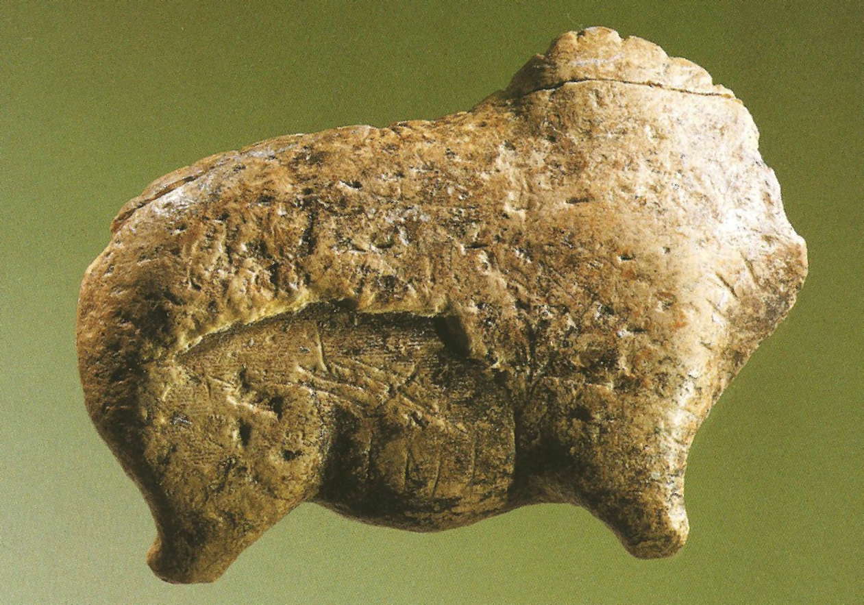 THE UNIFIED FIELD ORGAN PROJECT: THE BISON CAVE PAINTING THEORY