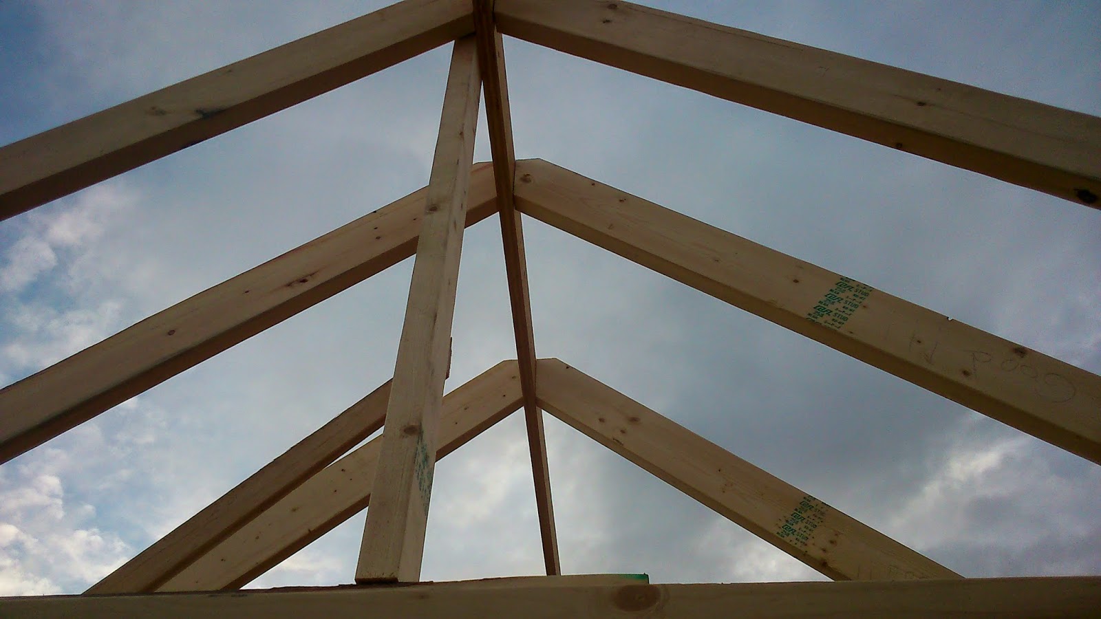 Todd's Tiny Home: Rafters and Roof