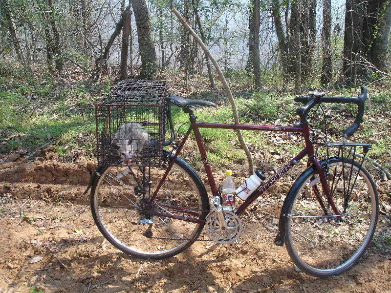 Coy Boy's Folly: My evolution from regular bikes to recumbents