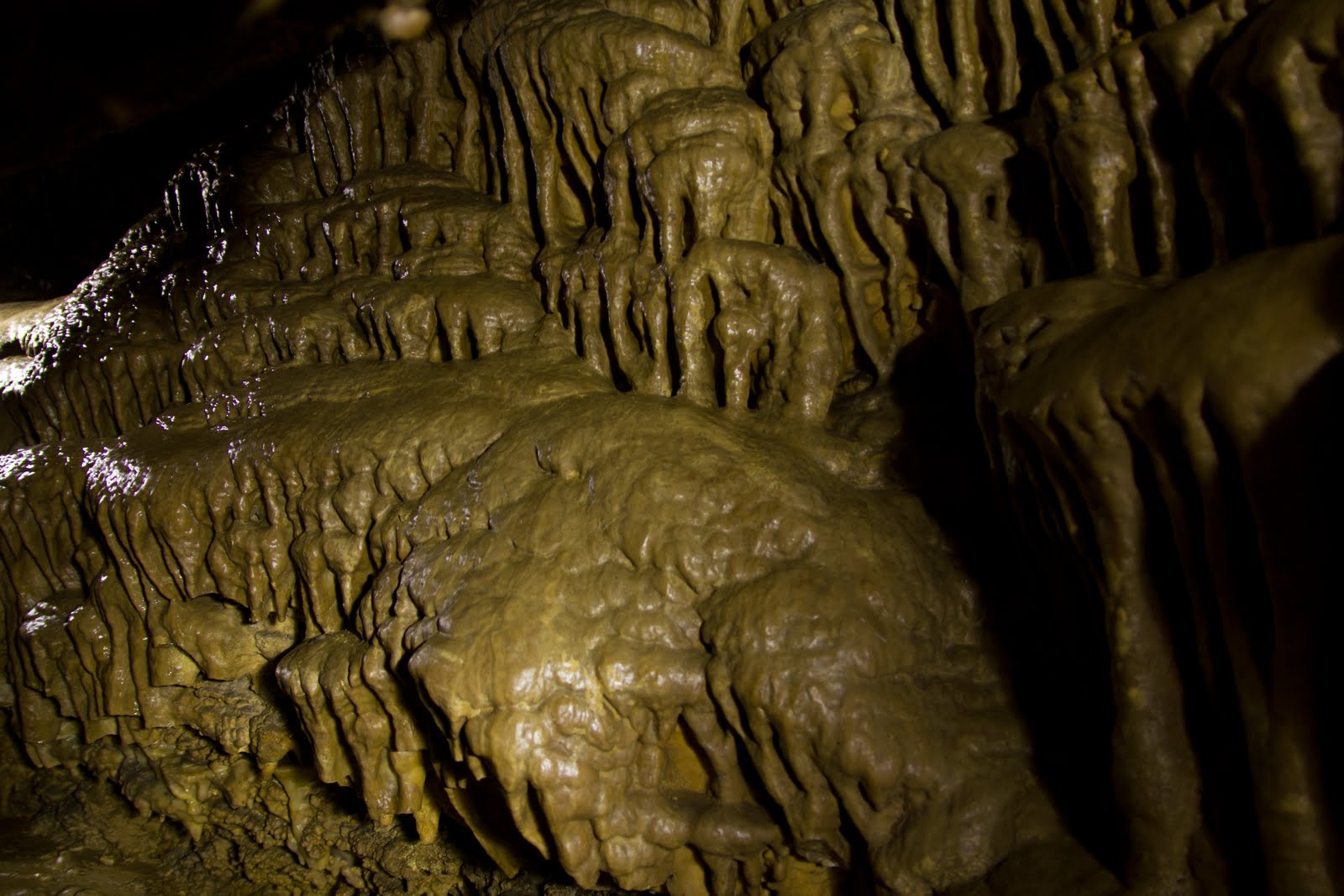Backyard Excursions: Garner Cave