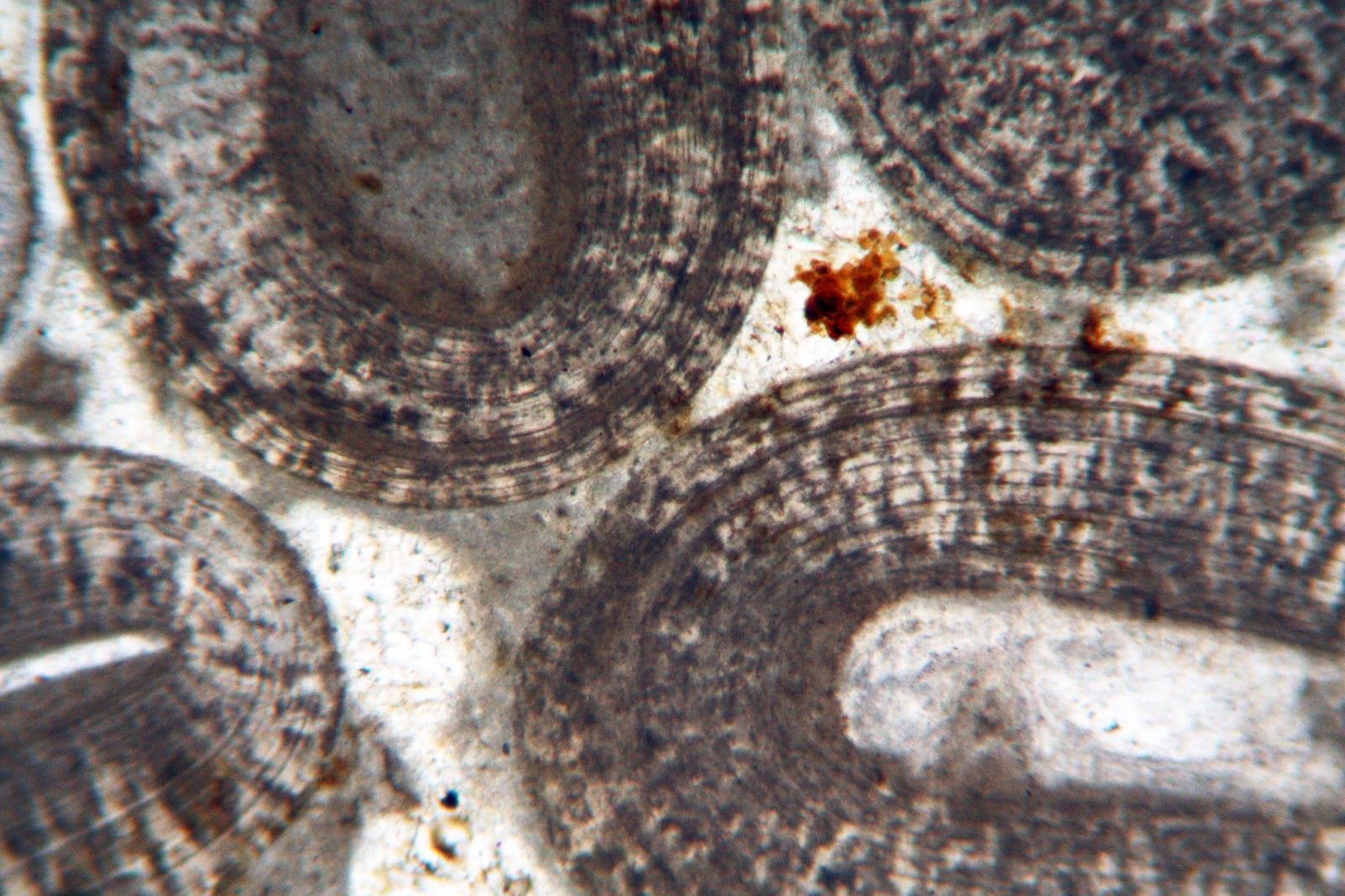 Dreams & Nightmares: Geology photo