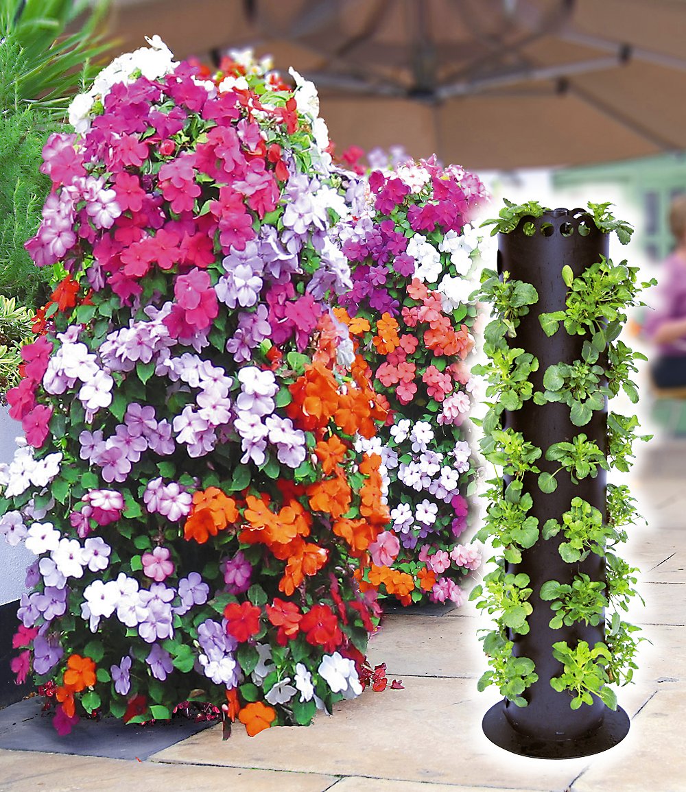 living wall garden | chinaforefrontinternational