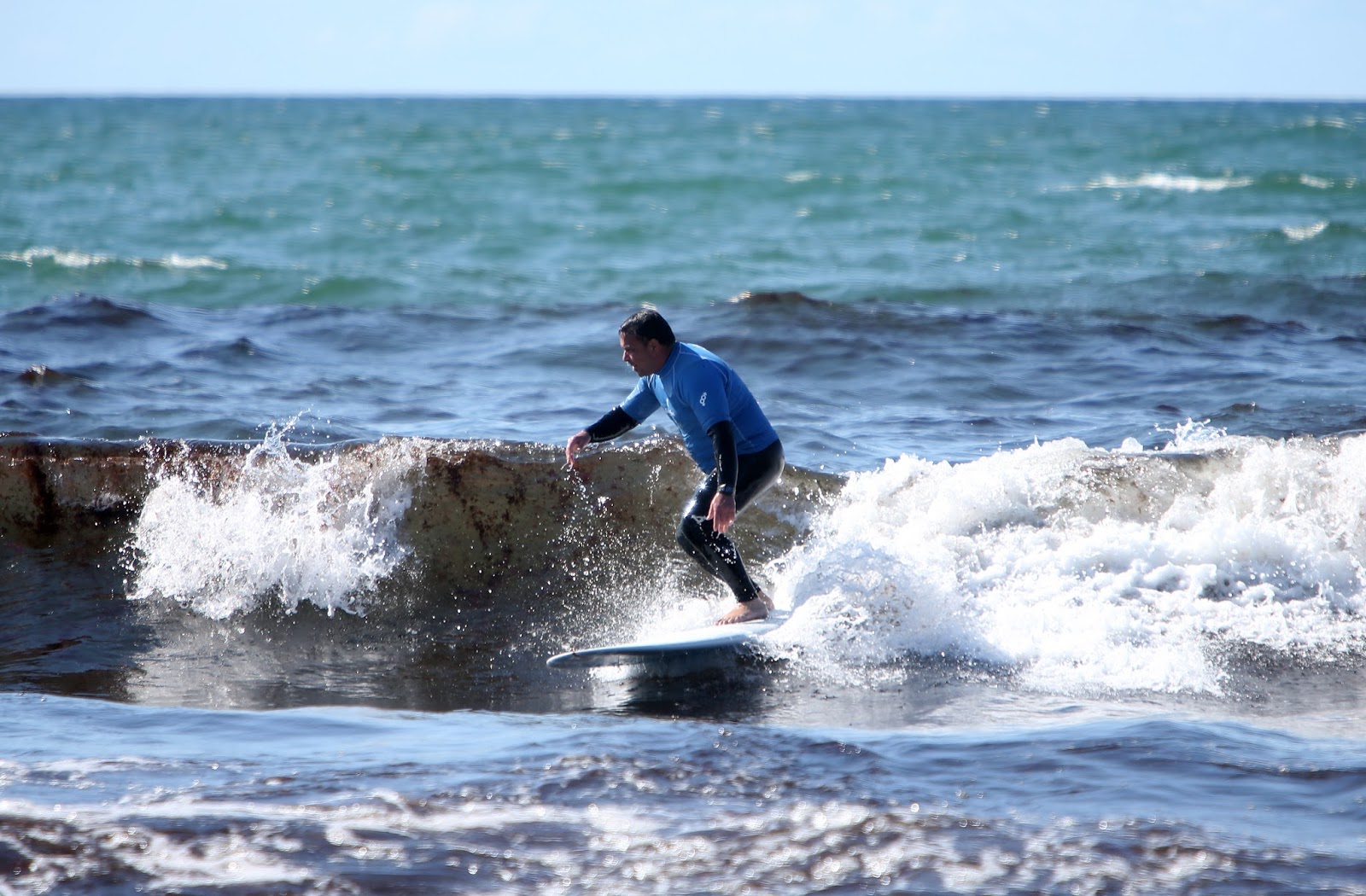 fish and log: surfline sliders