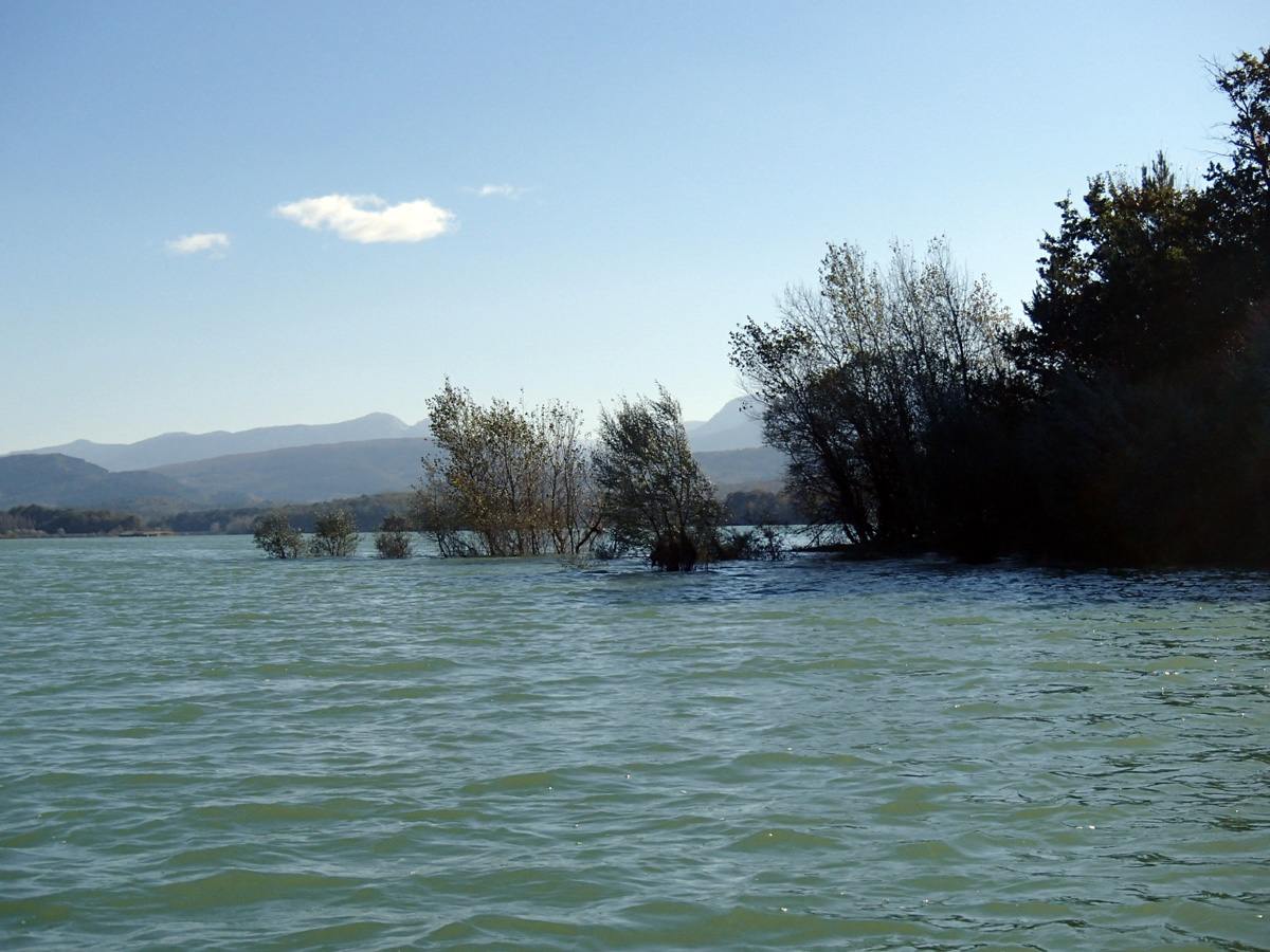 Comment utiliser le vent dominant