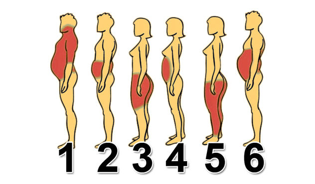 Apakah Lemak Anda Terdapat Pada 6 Bagian Tubuh Ini ?? Begini Cara ...