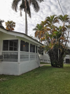 Caimán frito y cangrejos en los Everglades de Florida