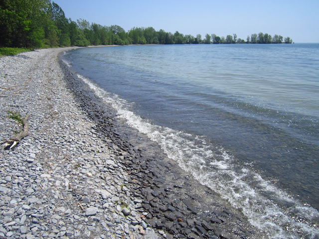 My Turquoise Kettle Life™: Amherst Island, Ontario