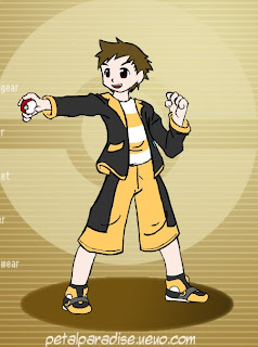 Make Your Own Pokemon Trainer