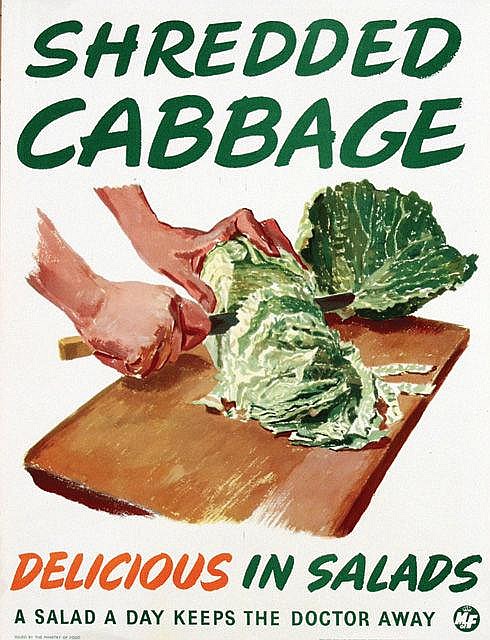 Two Men and a Little Farm: SHREDDED CABBAGE, VINTAGE POSTER SUNDAY