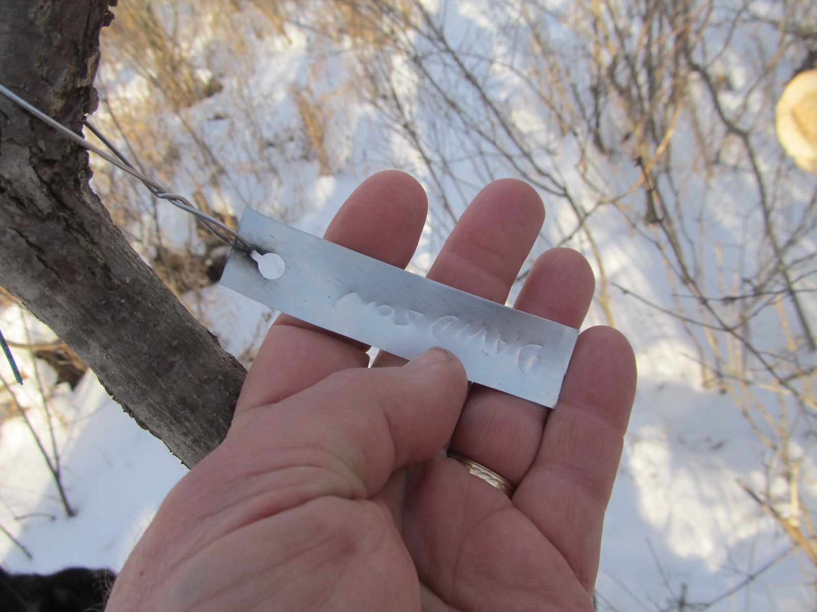 Eaton Rapids Joe: Little fiddly things