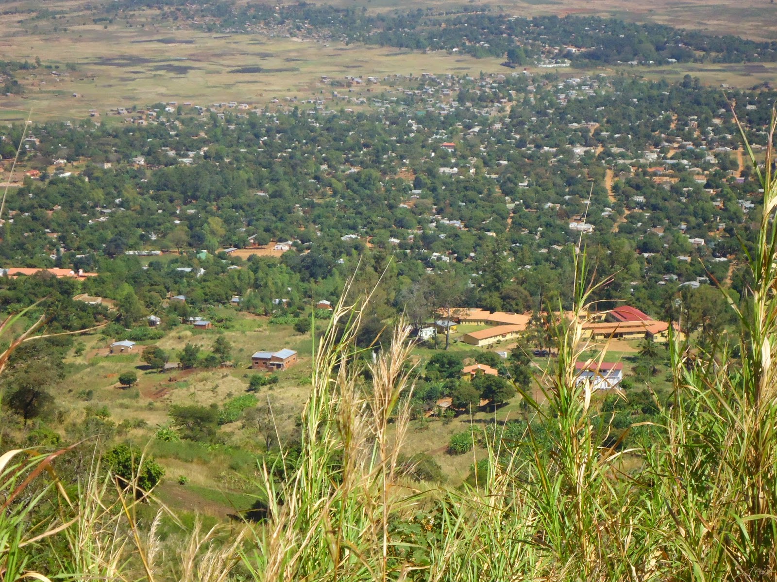 Ola milange ~ Milange real