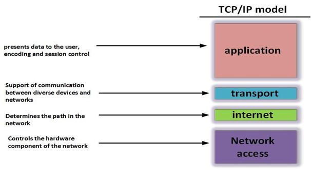 Buzz Learner: TCP/IP and the OSI Model (Lesson: 2)