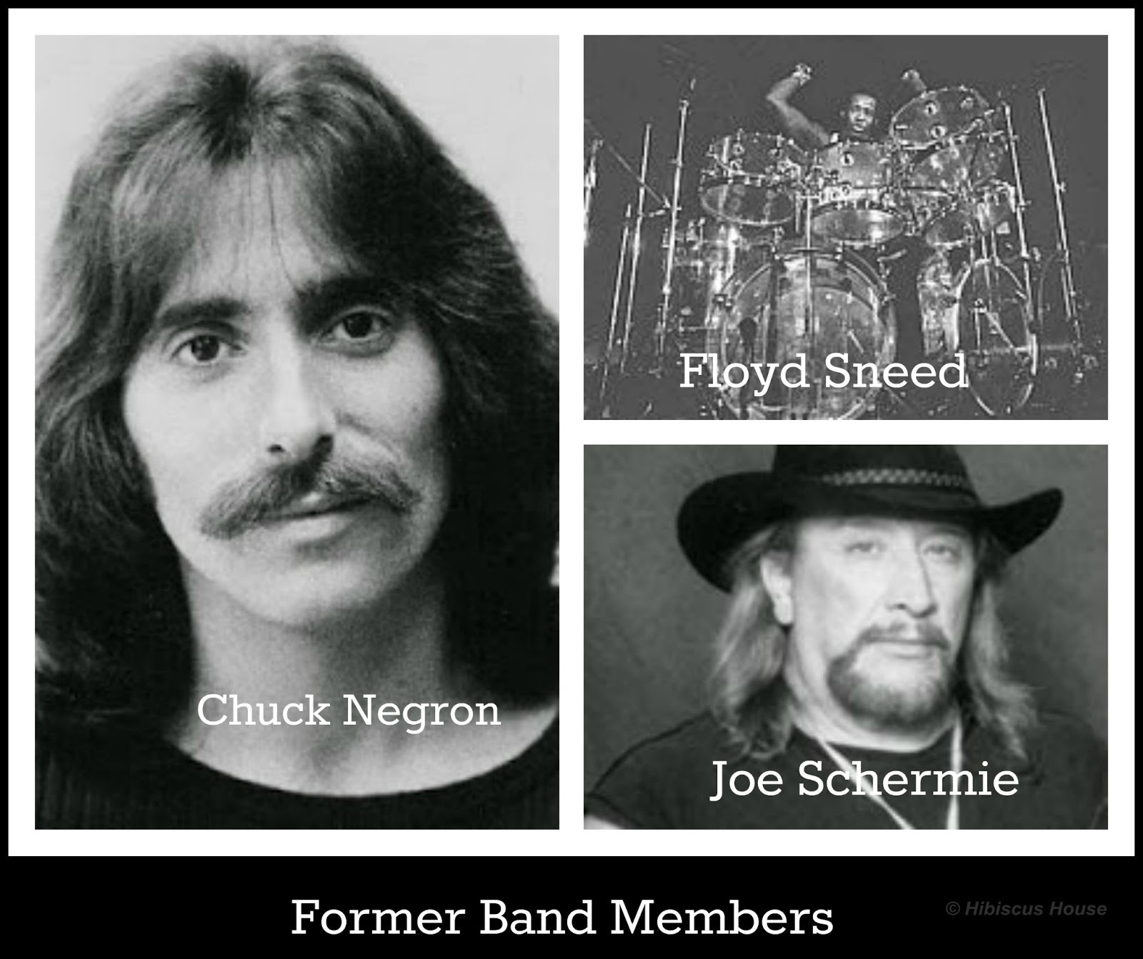 Hibiscus House: Three Dog Night