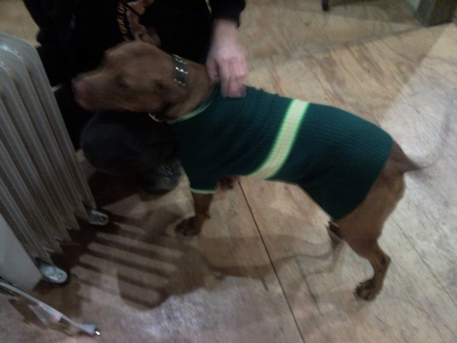 BADRAP Barn Blog: Brrr......cold nights come to the barn!