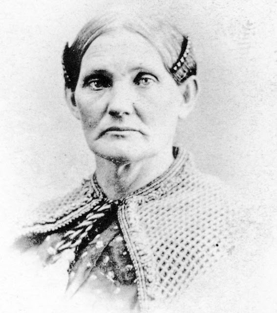 The Digital Research Library of Illinois History Journal™ : Women and ...