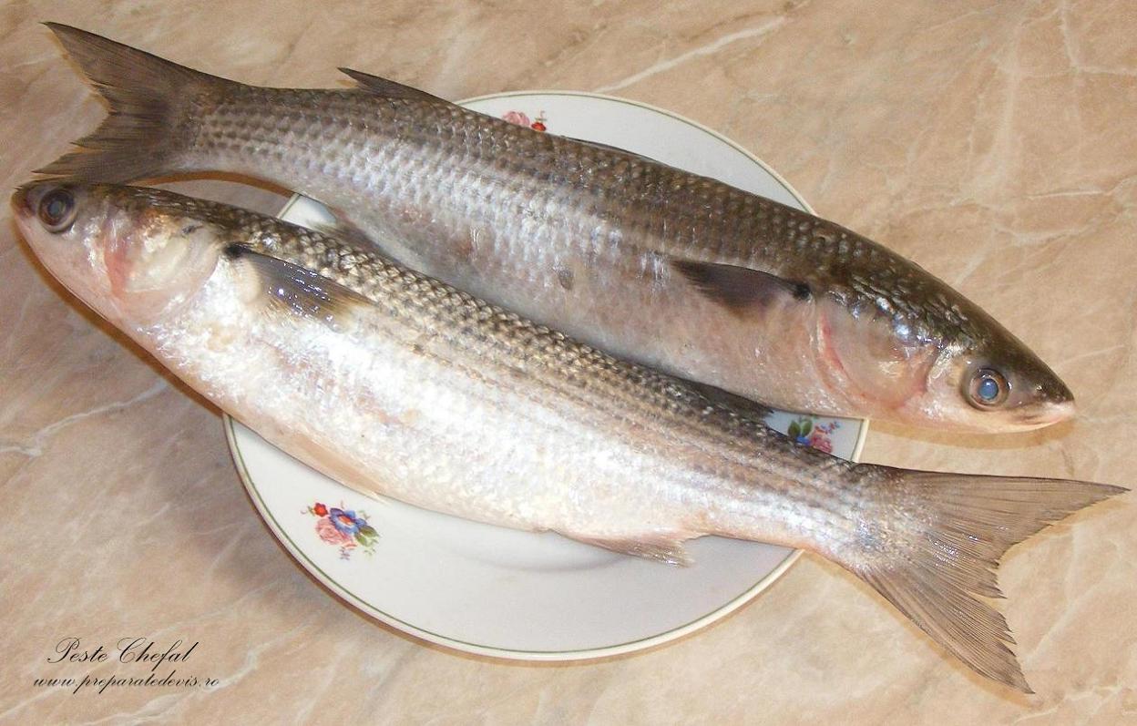 Chefal la gratar | Preparatedevis.ro