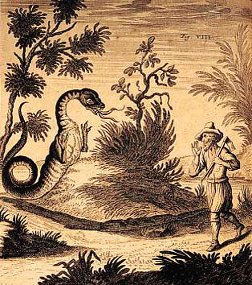 1/72 Multiverse: Lindworm