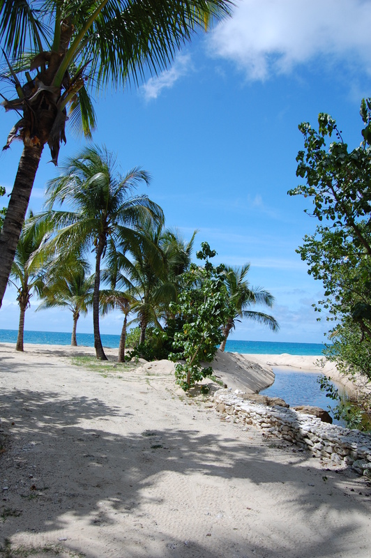 BLONDERLUST: Galley Bay-dreamin'