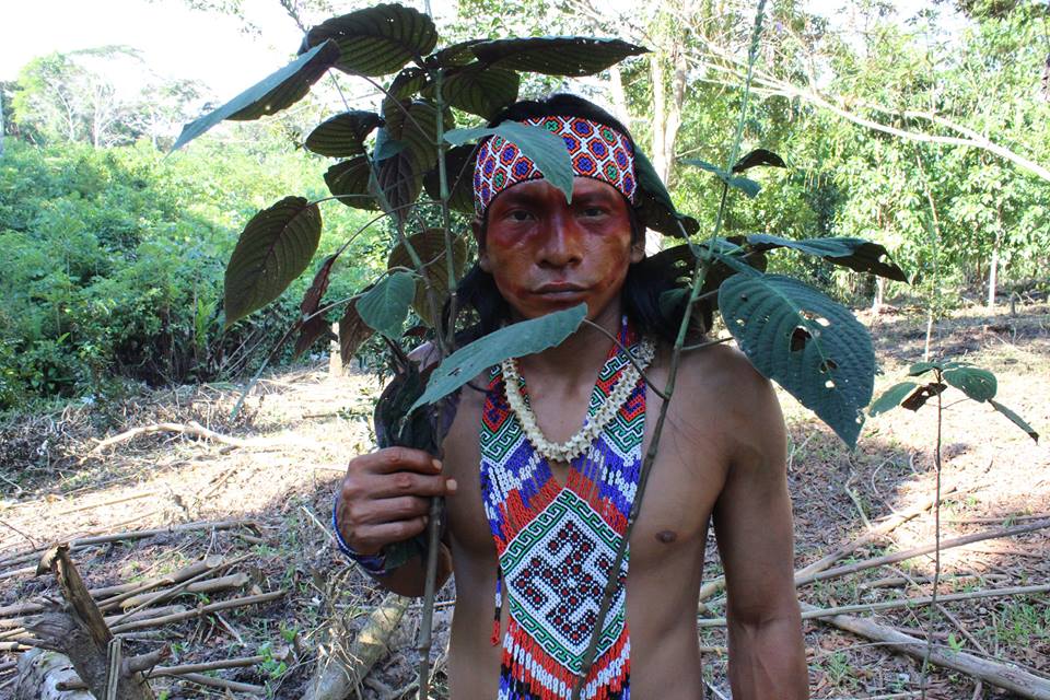 Crônicas Indigenistas: LÍNGUA INDÍGENA: Mais que um significado de mundo...