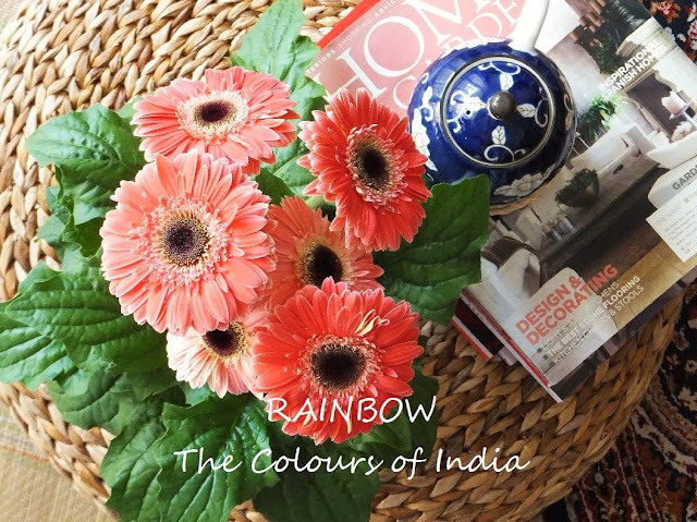 RAINBOW - The Colours of India: 2013