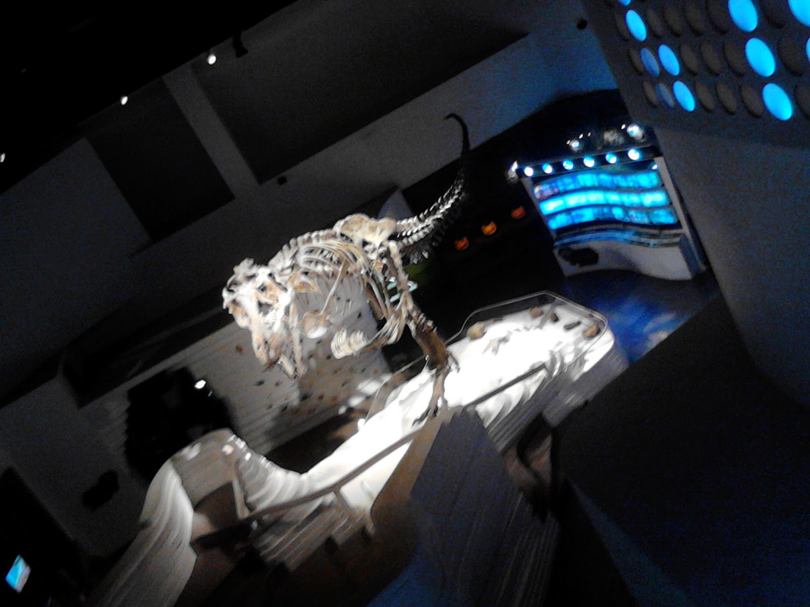 tSoKtOk: The Mind Museum: Quick Tour