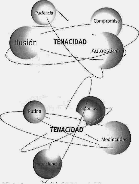 Tenacidad | valores morales