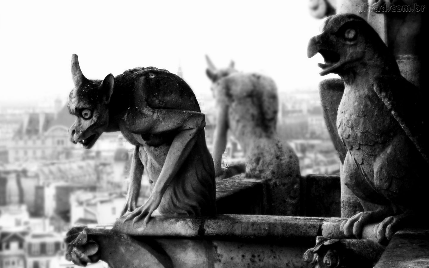 Os Gárgulas | O Calafrio