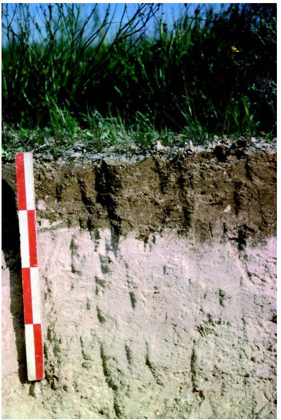 GeoSoles: febrero 2017