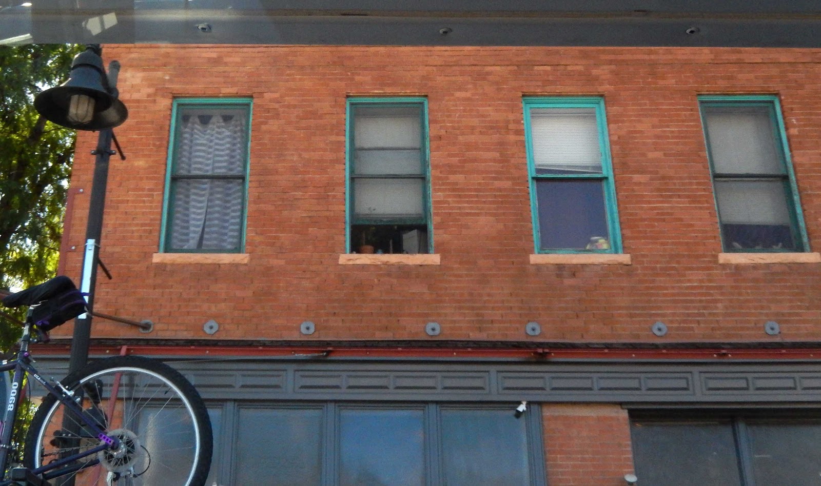 Cat Patches: Moab! We're Here!