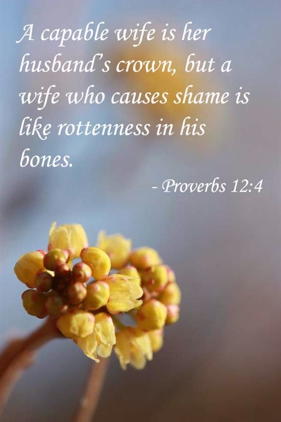 All Things Created: 2014