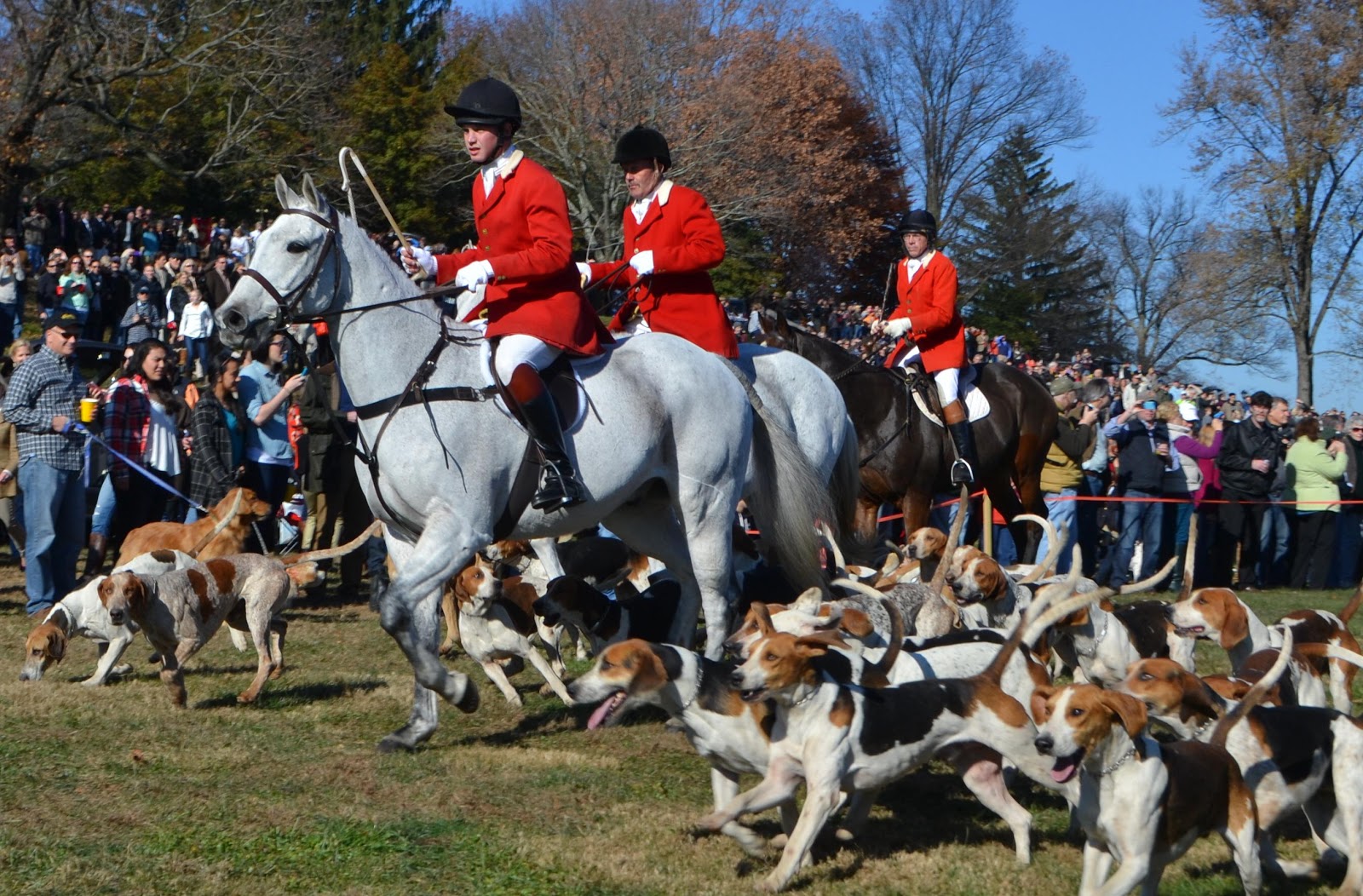 Let the Tide Pull Your Dreams Ashore: Maryland Thanksgiving