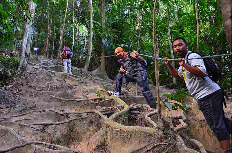 Tropical Rainforest Malaysia Indonesia Outdoors Adventure Skill Guide ...