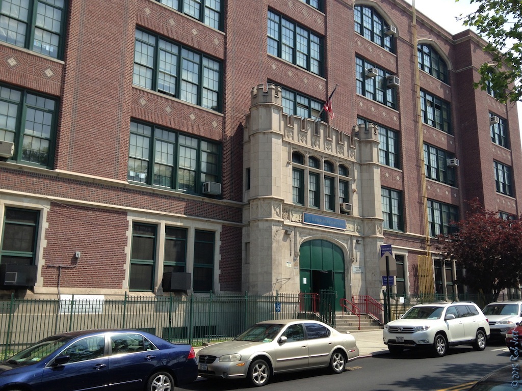 The City Birder: 06/01/2015 - 07/01/2015