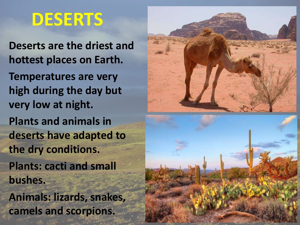 We are scientists!: 5.3. The Earth's terrestrial ecosystems