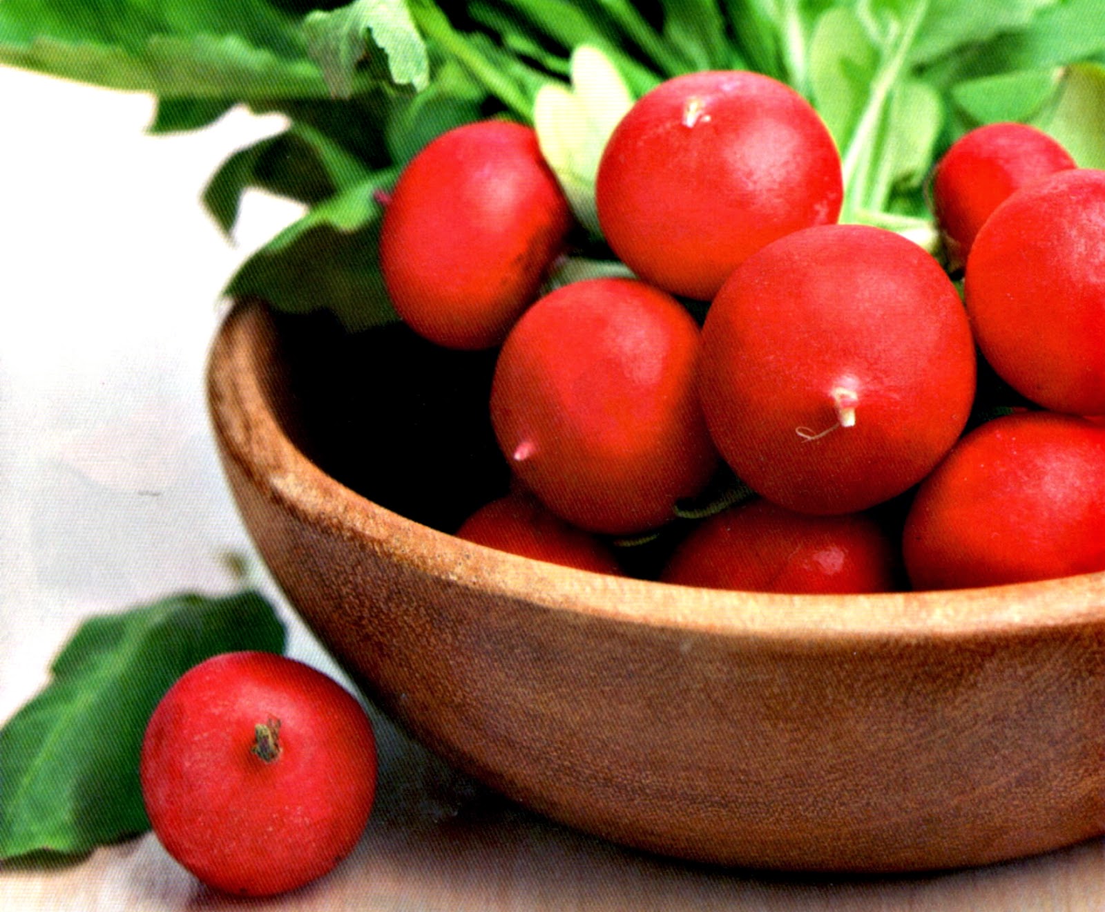 Propiedades del rábano