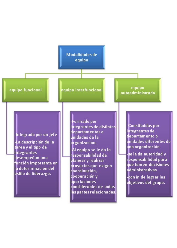 LIDERAZGO Y TRABAJO EN EQUIPO: 1.3 Modalidades De Equipo